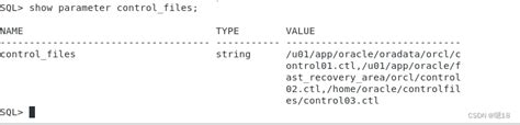 Oracle控制文件和重做日志文件日志文件 Oracle Csdn博客