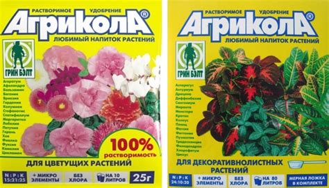 Подкормка петунии - правила выбора удобрений для роста и цветения ...
