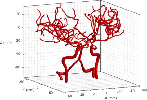Computational Model Of The Cerebral Vascular Structure Download