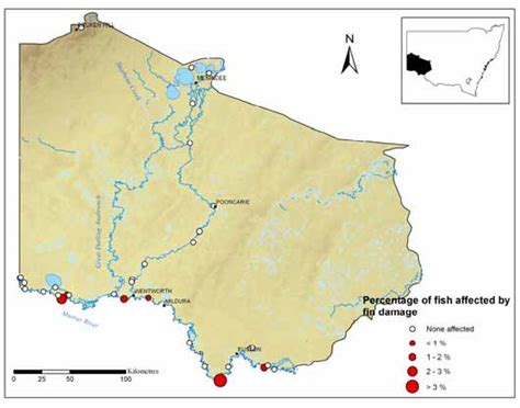 Pdf Lower Murray Darling Catchment Action Plan 2004 2016 Fish