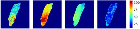 Chl A Estimation Maps μgl For Spring Summer Fall And Winter 2017