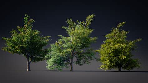 Tree Creation With Modular Tree Addon BlenderNation