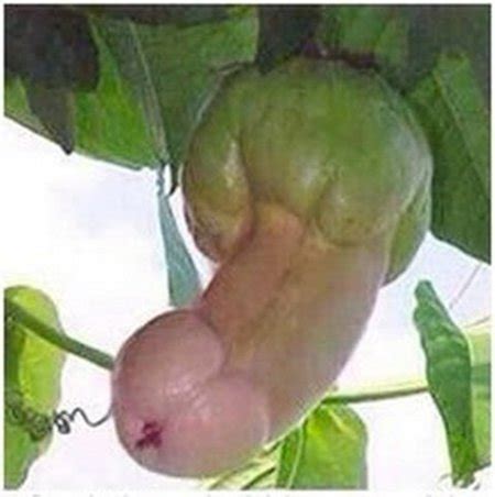 Співтовариство ЛЮБОВ ЕРОТИКА СЕКС