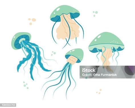 해파리 만화 같은 평면 장식 세트입니다 손으로 그린 유독 한 메두사 컬렉션 해양 해양 주민 간단한 해상 캐릭터 디자인 격리 벡터