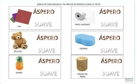 Áspero o suave worksheet Fichas Actividades preescolar matematicas