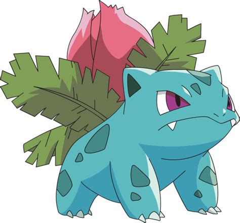 Ivysaur Pokémon Wiki Fandom Powered By Wikia