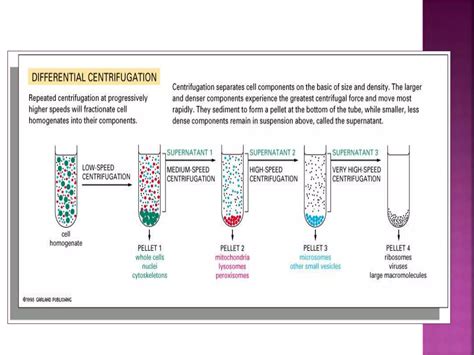 Centrifugation Pptx