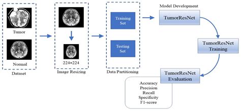 A Robust End To End Deep Learning Based Approach For Effective And