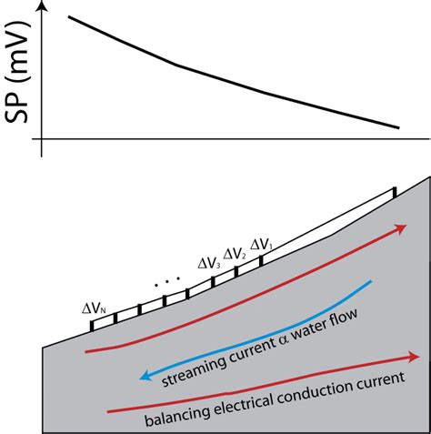 Self Potential Signals Driven By Groundwater Flow Excess Charge Is