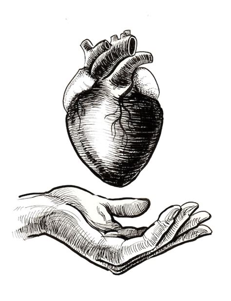 Details More Than 154 Human Heart Drawing Simple Best Seven Edu Vn