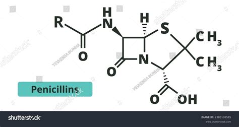 Penicillin Chemical Structure Vector Illustration Stock Vector Royalty