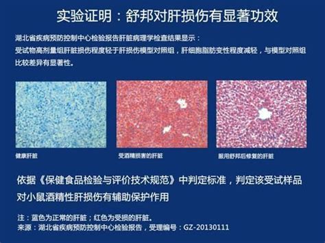 一秒钟看懂酒精的代谢