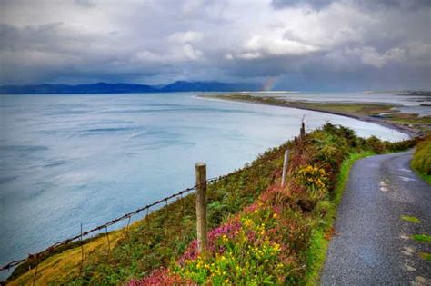 From Cork 9 Hour Guided Ring Of Kerry And Killarney Tour Getyourguide