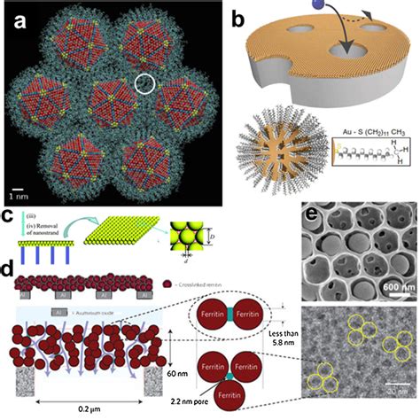 The Mono Component Nanoparticle Membrane A Close Packed Gold Download Scientific Diagram