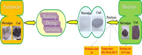 Graphical Mapping For Preparation Of Macroalgae And Coal Based Biochars