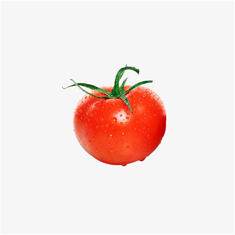 그레프 토마토 팔팔토마토 베이비토마토 Palpal Tomato 15kg 그레프 Gref Green Foundry