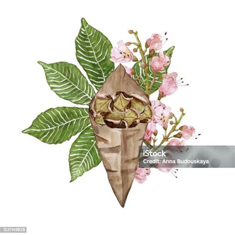 맛있는 구운 밤 크래프트 종이 봉지 밤나무의 나뭇잎과 꽃 수채화 그림입니다 고품질 일러스트레이션 10월에 대한 스톡 벡터 아트