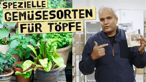 Geeignete Sorten für Gemüse in Töpfen oder kann man jede Sorte in