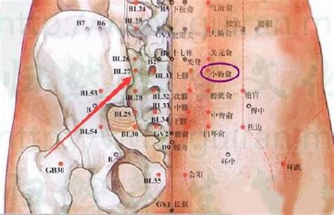 骶孔的准确位置图片 骶骨孔位置图 骶管裂孔 大山谷图库