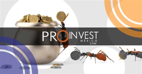 Gastos Hormiga El Enemigo Silencioso De Tus Finanzas Proinvest México