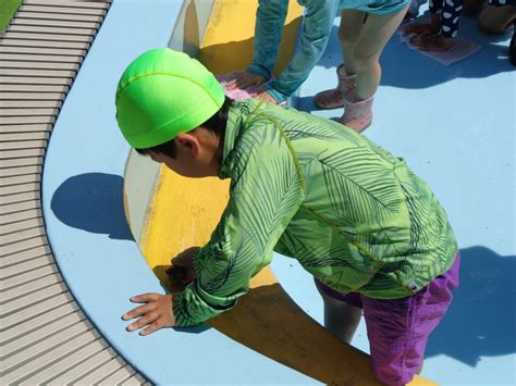 プール開きをしました （年長） とよはなブログ 豊田花園幼稚園 豊田市 幼稚園