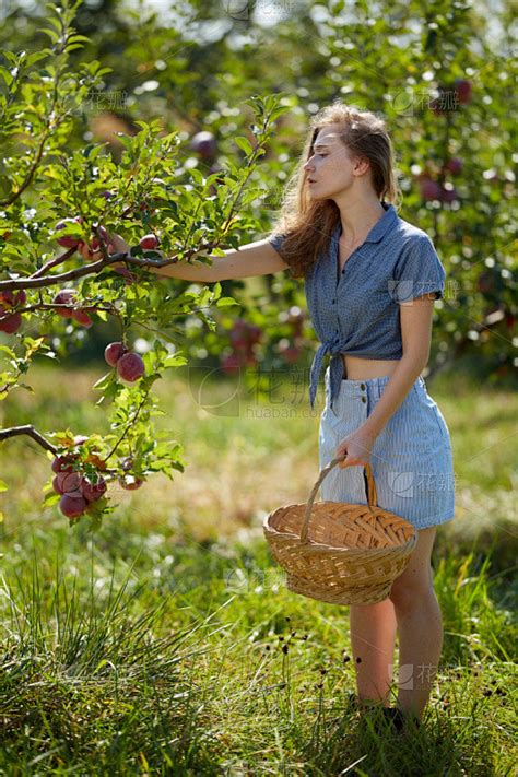 女人苹果农民青年人农业篮子清新食品罗马尼亚一个人