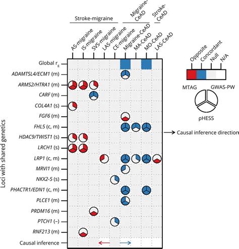 Summary Of Pairwise Genetic Comparisons For The 3 Disorders Download Scientific Diagram