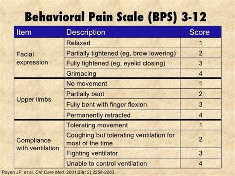 Behavior Pain Scale Bps Escala Conductual Del Dolor Enallterm