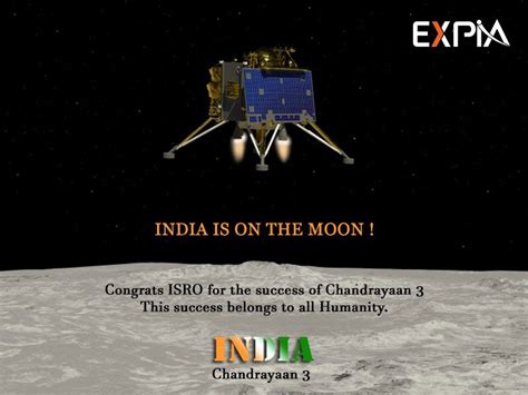 Vineesh Vijayan Csm® Posted On Linkedin