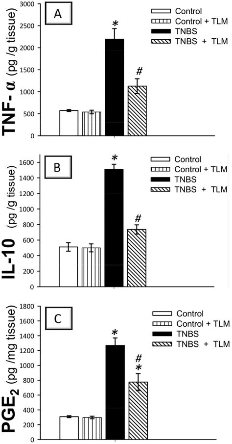 Levels of tumor necrosis factor α TNF α A interleukin 10 IL 10 B