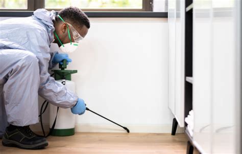 What Is The First Sign Of Termites Security Termite And Pest Control