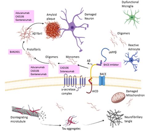 Submit A Stem Project Youth Stem Matters Scientific Journal Science Fair Projects — Youth