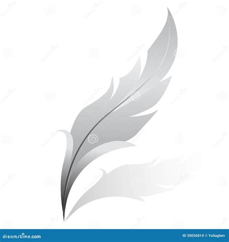 Silver Feather Stock Vector Illustration Of Design Isolate 30056814