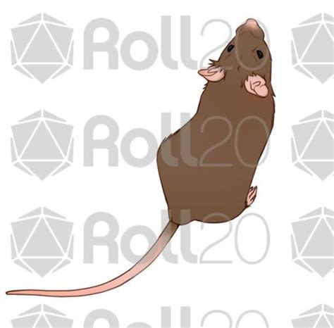 Rat Token Pack 1 Roll20 Marketplace Digital Goods For Online
