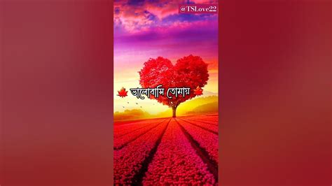 🍁ভালোবাসি তোমায়🍁ভালোবেসে যাবো🫶💕 Lovestatus Lovesongs Shorts Love