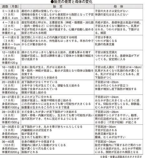妊娠のしくみ｜家庭の医学｜時事メディカル