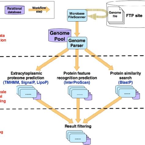 The Eppp Workflow Consists Of Multiple Microbase20 Responders The