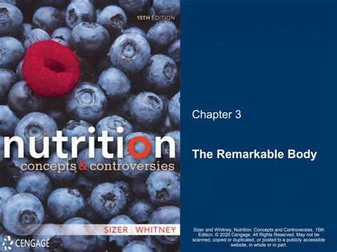 Chapter 3 Remarkable Body Ppt
