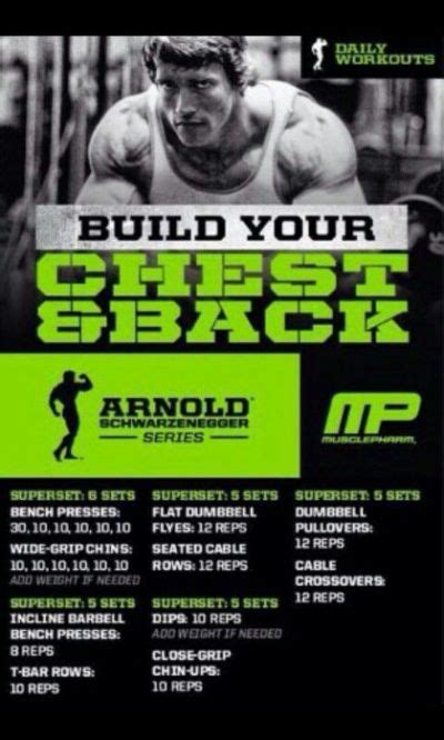 25 Best Ideas About Arnold Workout Arnold Leg Workout Workout