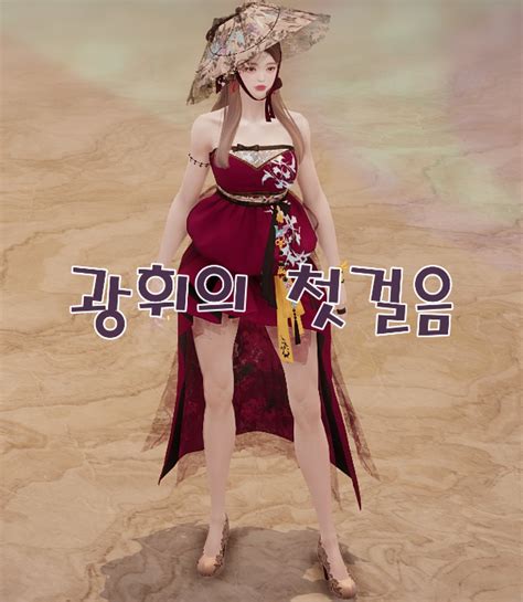 슬레이어 염색정보 광휘의 첫걸음 루테란 예복