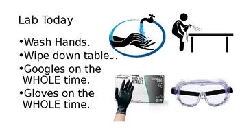 AP Cell Size Lab PowerPoint Directions By ABiologyTeacher TPT
