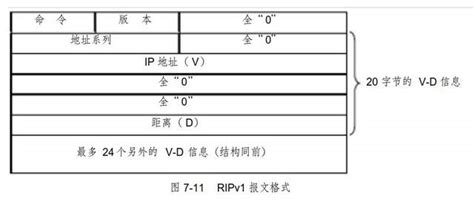 常用网络协议汇总！网络工程师必备知识点！网络协议名词解释 Csdn博客