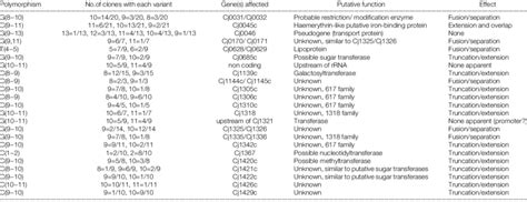Hypervariable Sequences Found In The C Jejuni Genomic Shotgun Download Table
