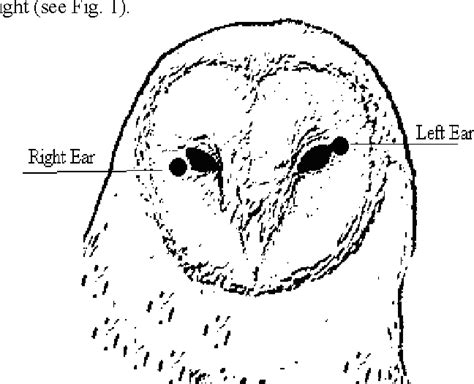 Figure 1 From Sound Localization Based On A Barn Owls Auditory System