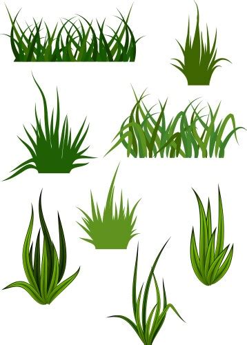 Grass Vector Images Over