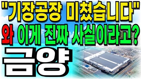 금양 주가전망 기장공장 미쳤습니다 와 이게 진짜 사실이라고 주주여러분들 빨리 시청하세요 Youtube