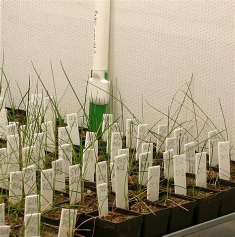 Functional Ecology X Mol