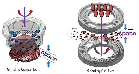 Grinder Ceramic Conical Vs Flat Burr A Guide To The Differences Jh