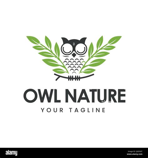 Owl Illustration With Leaf Wings Owl Logo Design Template Symbol Icon Nature Stock Vector