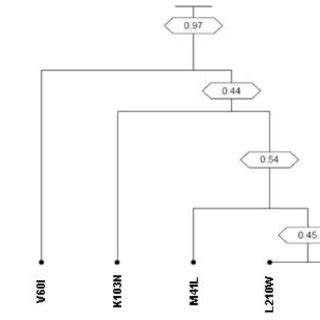 Dendrogram Obtained From Average Linkage Hierarchical Agglomerative